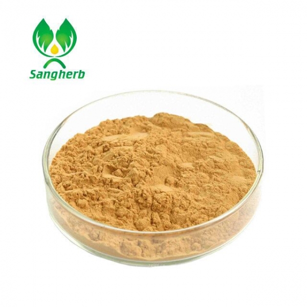 Introduction of Ginkgo biloba extract - Sangherb