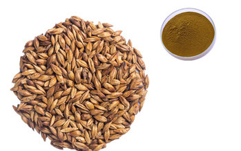 Malt Extract powder - Sangherb