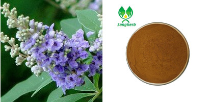 Chaste Tree Extract - Sangherb