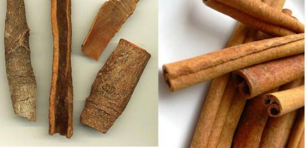 The Difference Between Cinnamon and Cassia Bark - Sangherb