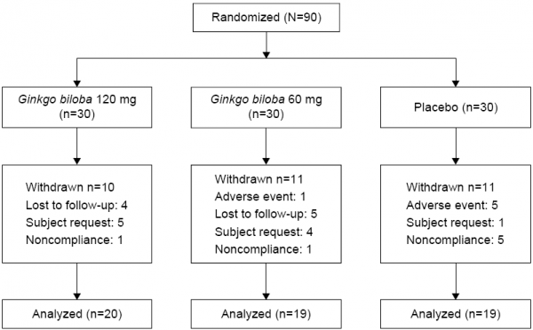 The Story Behind Ginkgo Biloba - Interpretation of Ginkgo biloba ...
